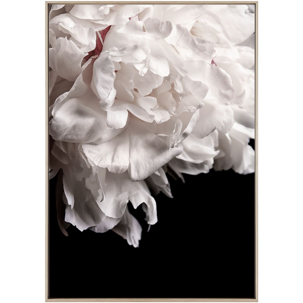 Mystic Bloom Artwork – Gainsville