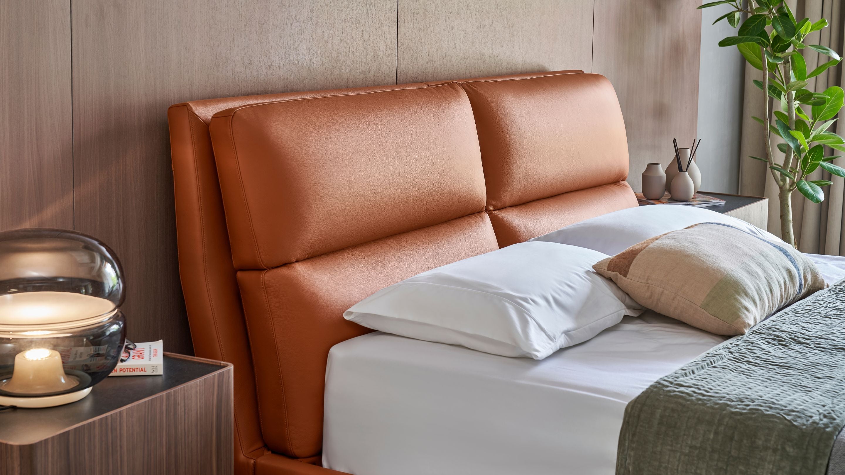 Winchester tv bed store